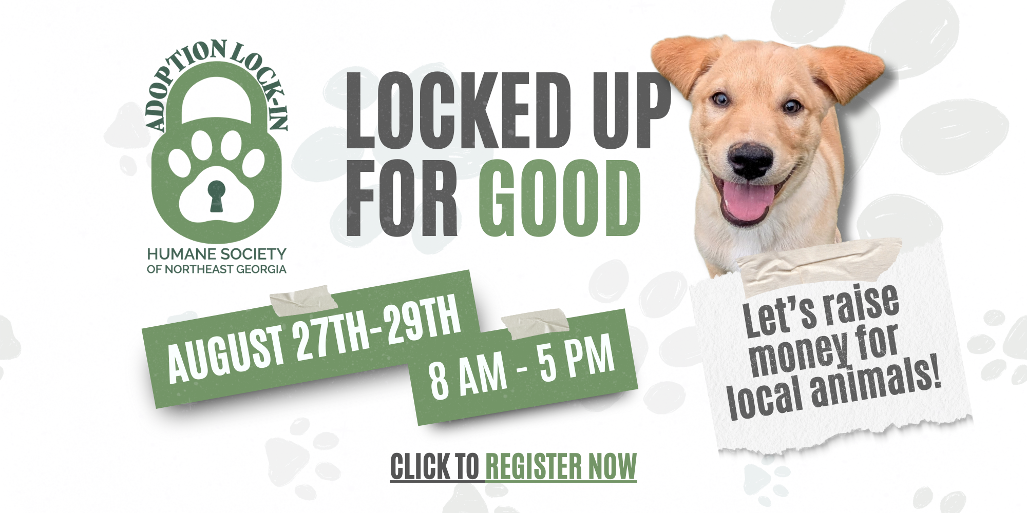 Our Animals - Humane Society of Northeast Georgia